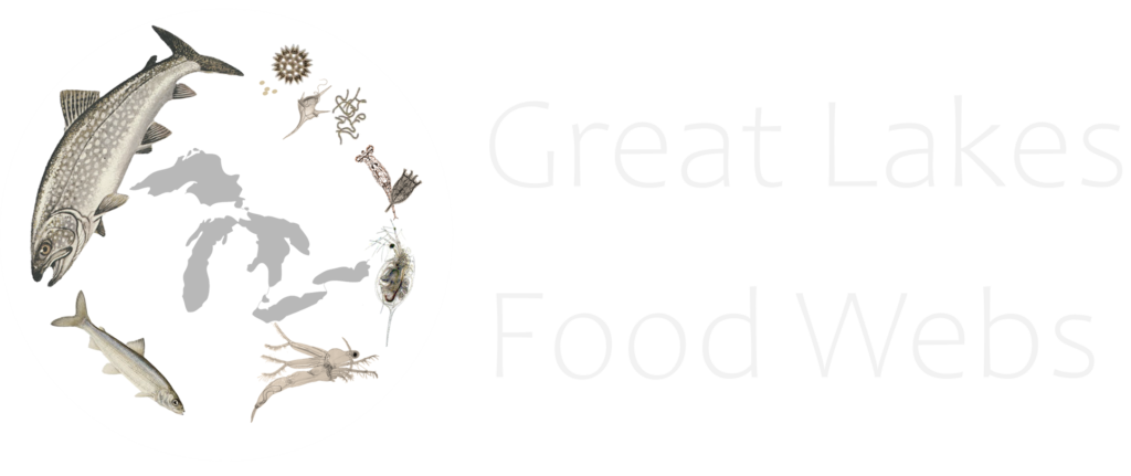 Contact - Great Lakes Food Webs